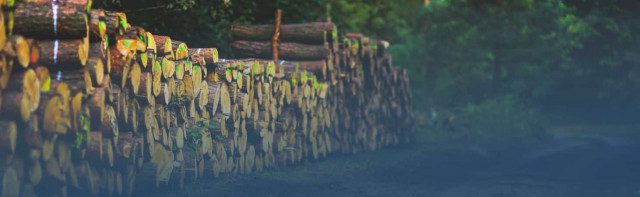 Home | Carl Rontgen GmbH – Bandsaw Blades